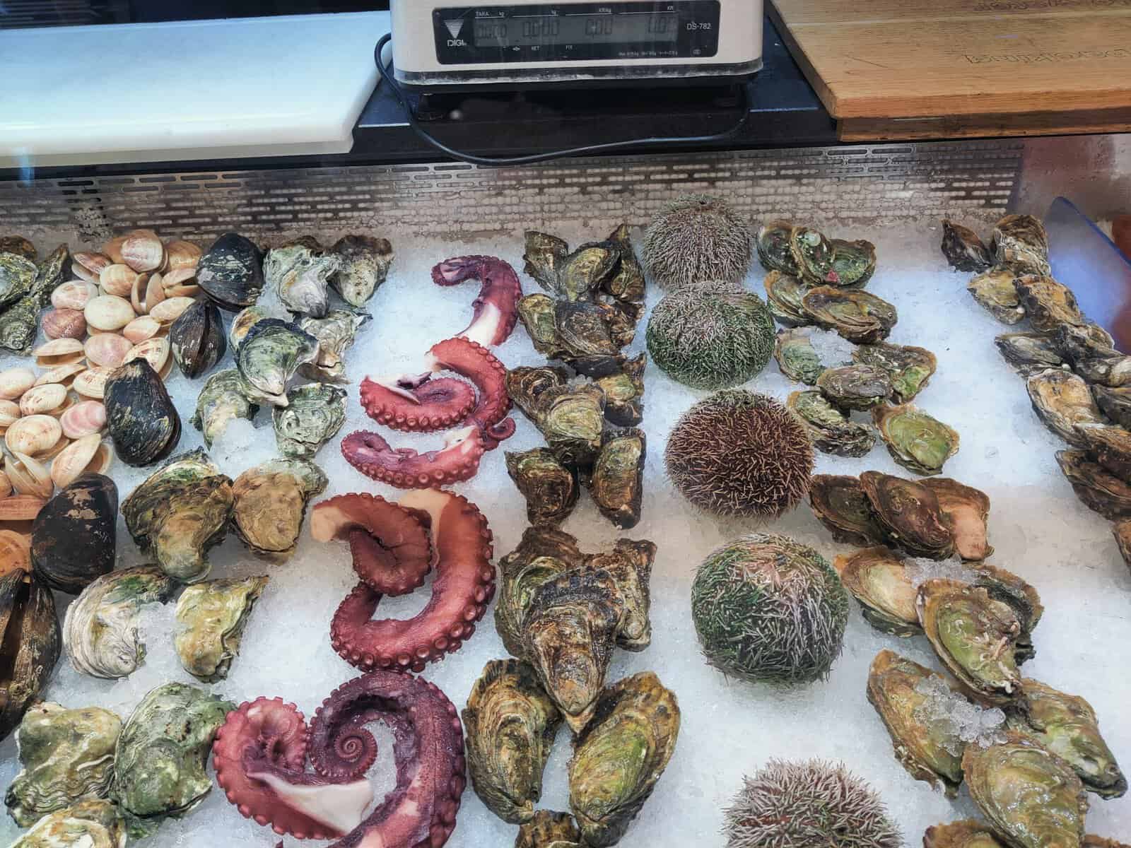 Bergen Fish Market - Ultimate Guide to Visiting